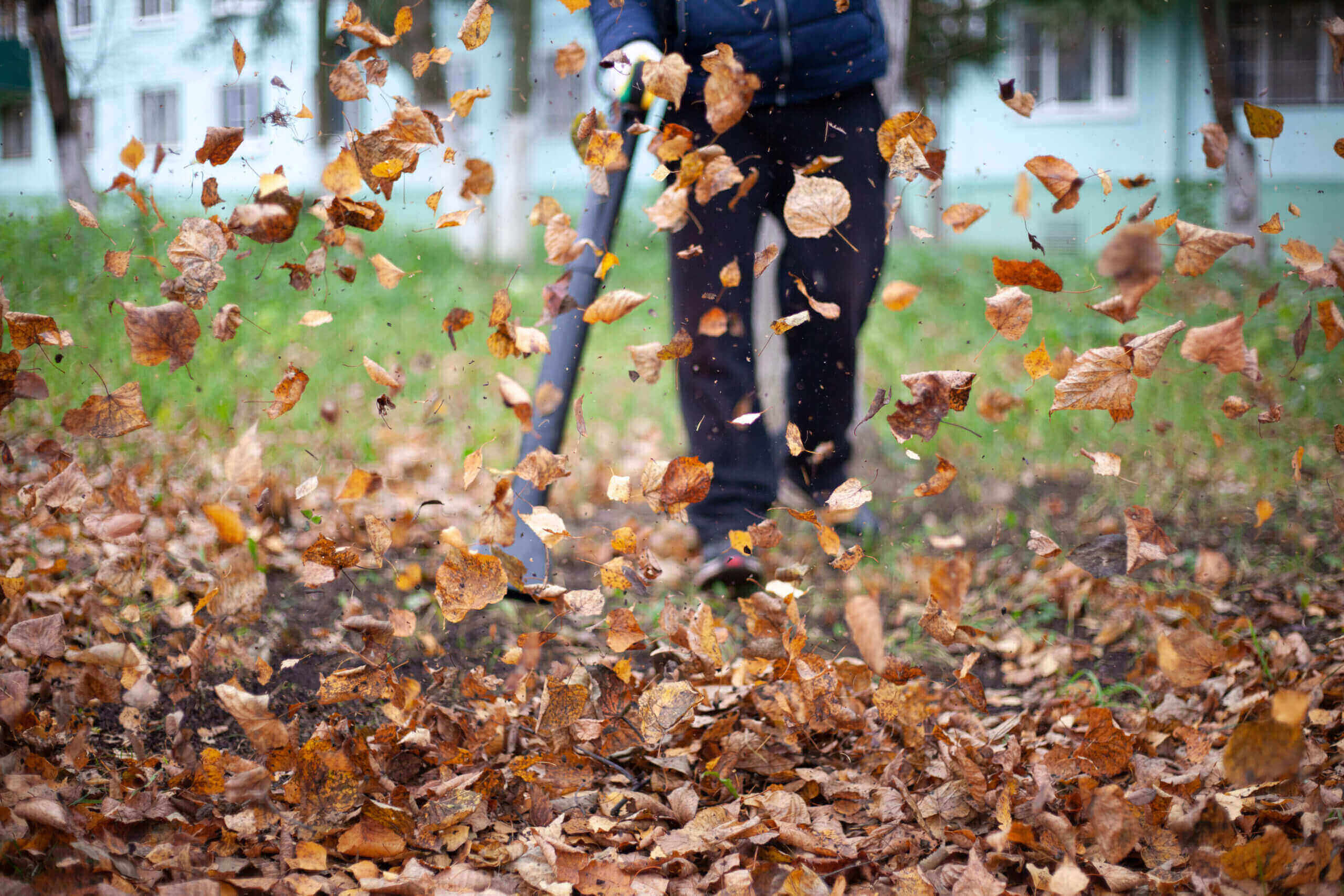 Leaves Are Falling All Around... - Spencer's Tree & Landscape Solutions ...